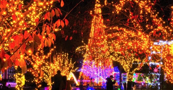 Japan Photo Journal: 1 mil. LEDs light up east Japan city for annual ...