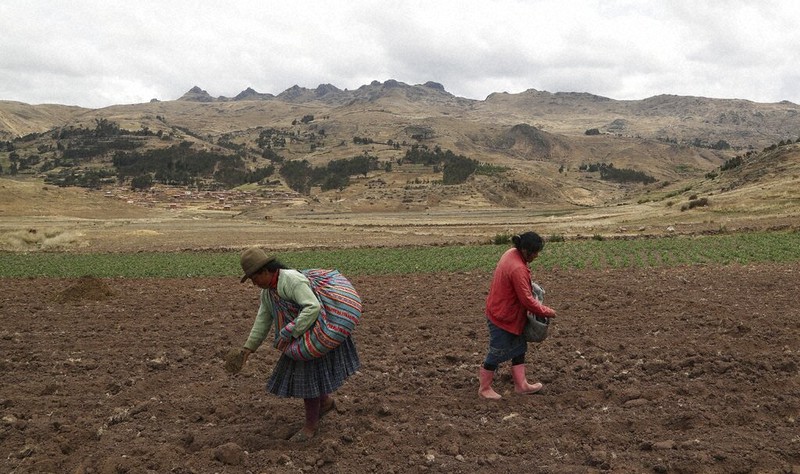Pandemic pushes Peru's vital peasant farmers to the brink - The Mainichi