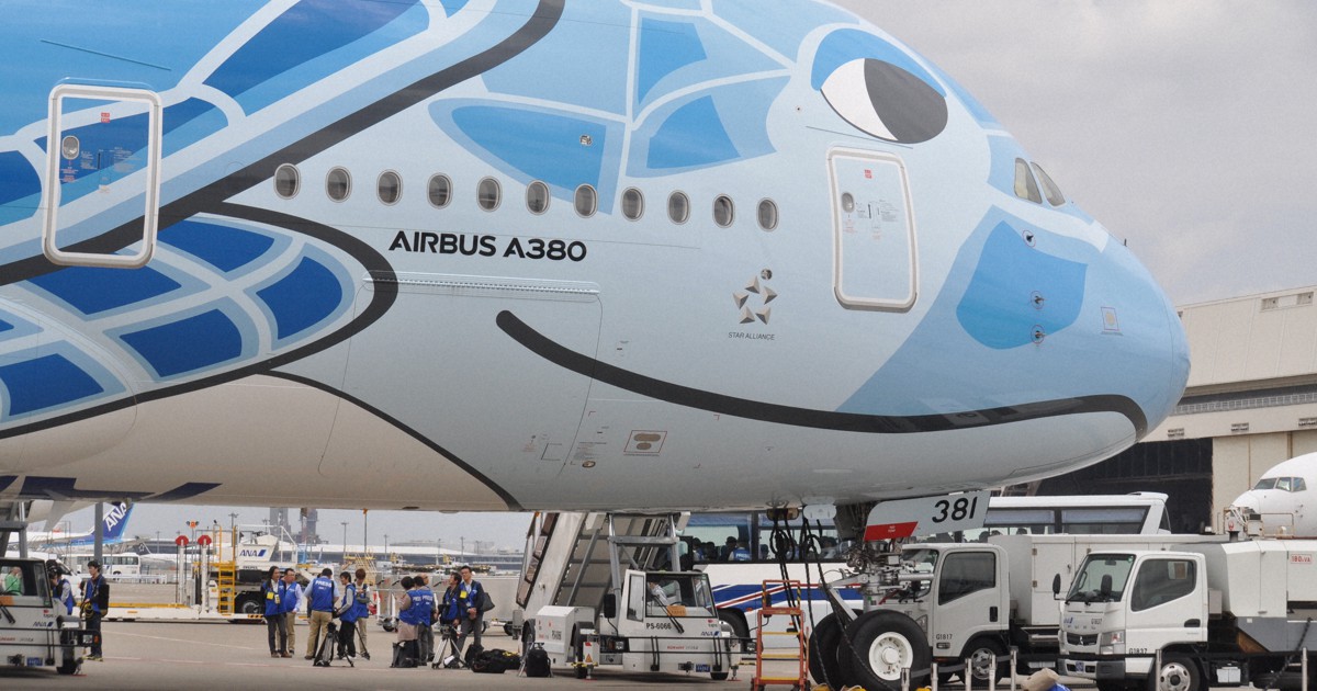 Special ANA flight to see New Year's sunrise to depart Narita for 1st ...