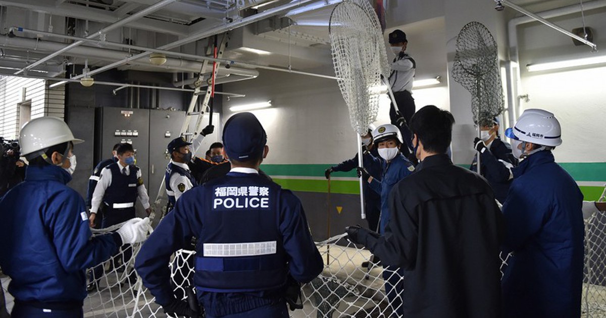 In Photos: Rogue monkey causes commotion in southwest Japan city - The ...
