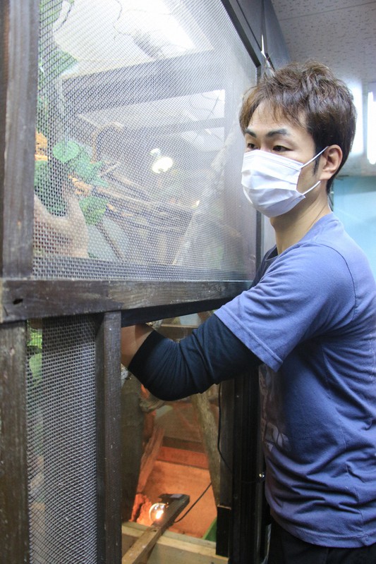 News Navigator: Is Japan a major importer of animals? - The Mainichi