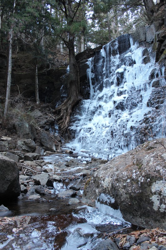 Famed 'purifying' waterfall on Mt. Fuji trail freezes as temps plummet ...