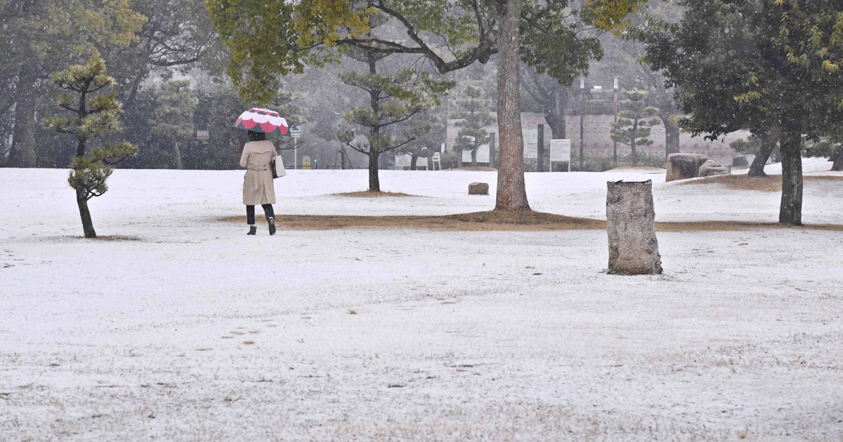 In Photos: Osaka Castle Park covered with light layer of snow - The ...