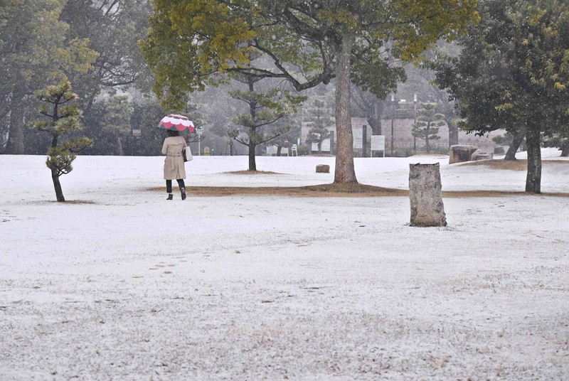 In Photos: Osaka Castle Park covered with light layer of snow - The ...