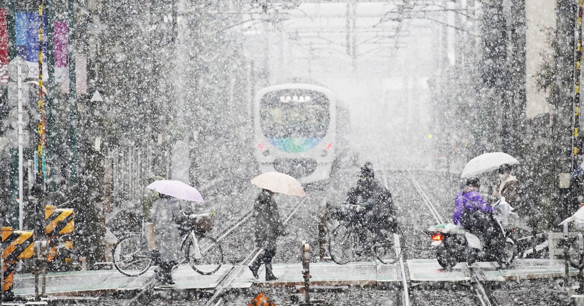 Japan Photo Journal: Snow strikes Tokyo, with more on the way for much ...