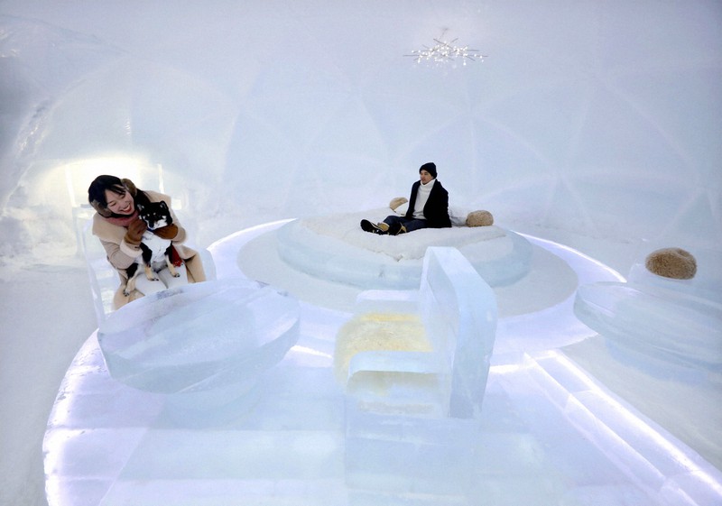 'Ice hotel' opens this season for dog lovers in Japan's winter resort ...