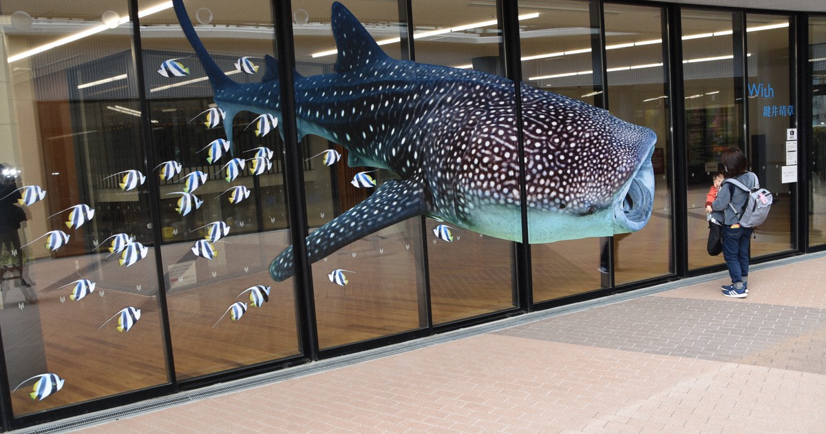 Underwater wonder: Japan photographer's exhibition takes viewers ...
