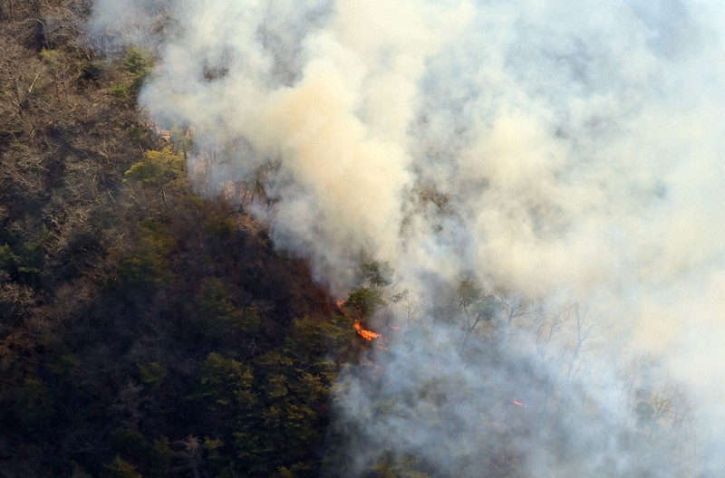 In Photos: Wildfire burns across more than 10 hectares of east Japan ...
