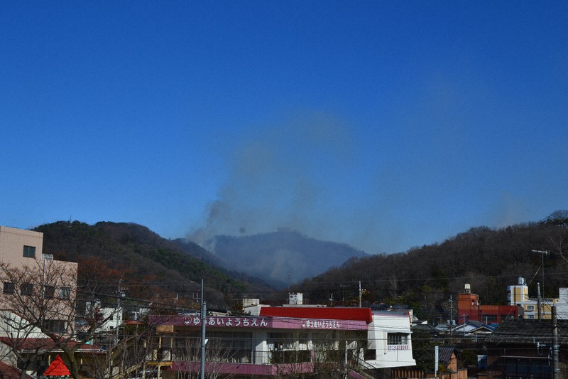 In Photos: Wildfire burns across more than 10 hectares of east Japan ...