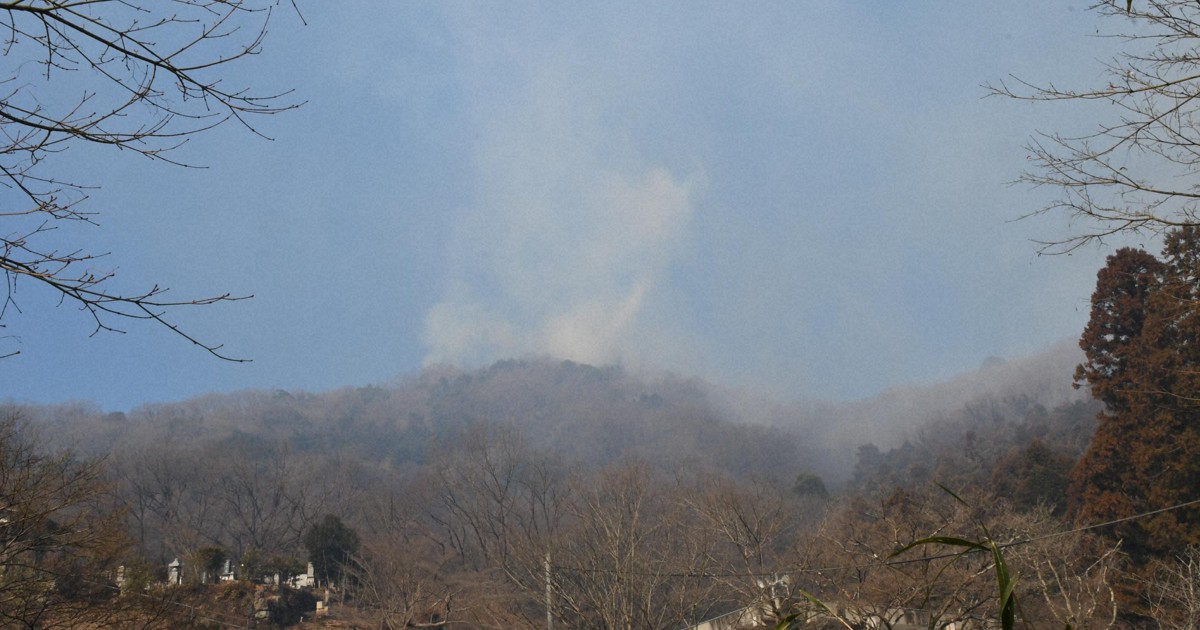 In Photos: Wildfire burns across more than 10 hectares of east Japan ...
