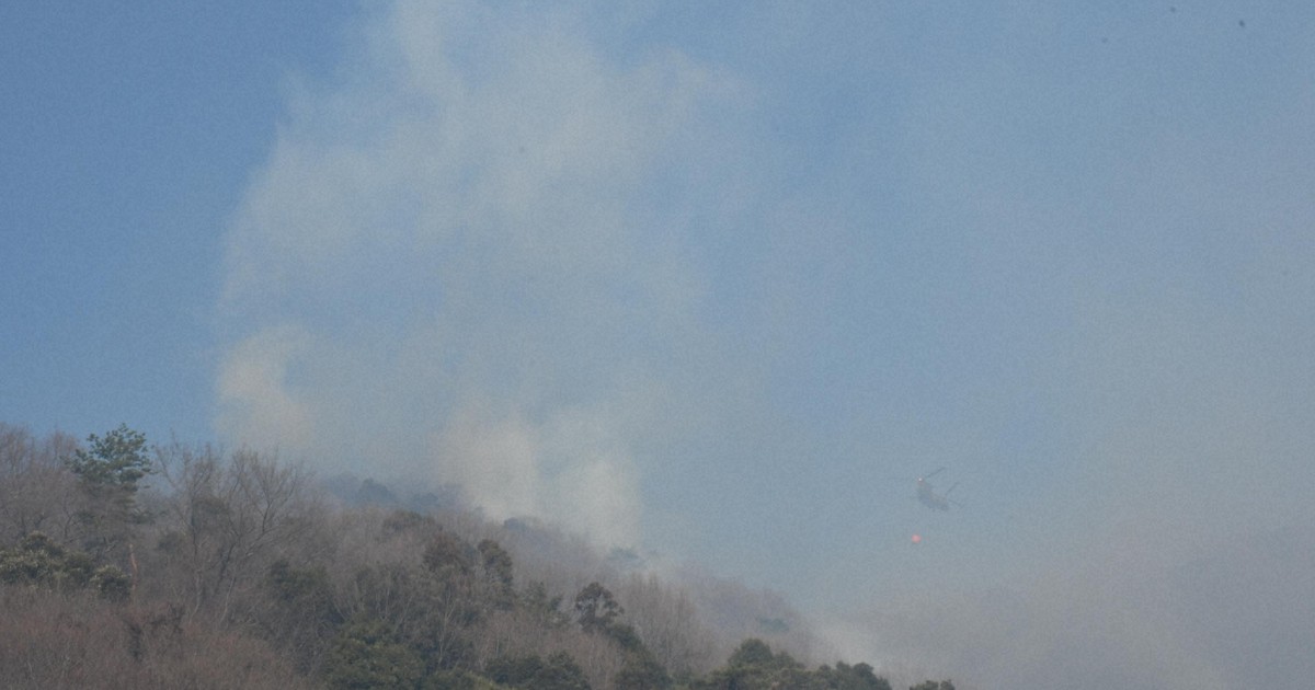 In Photos: Wildfire burns across more than 10 hectares of east Japan ...
