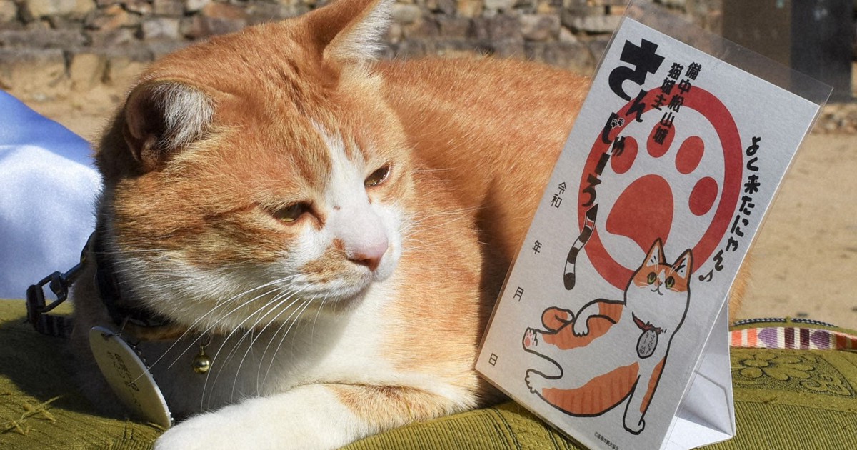 Japan castle's famous feline 'owner' stamps the purrfect gift on Cat ...