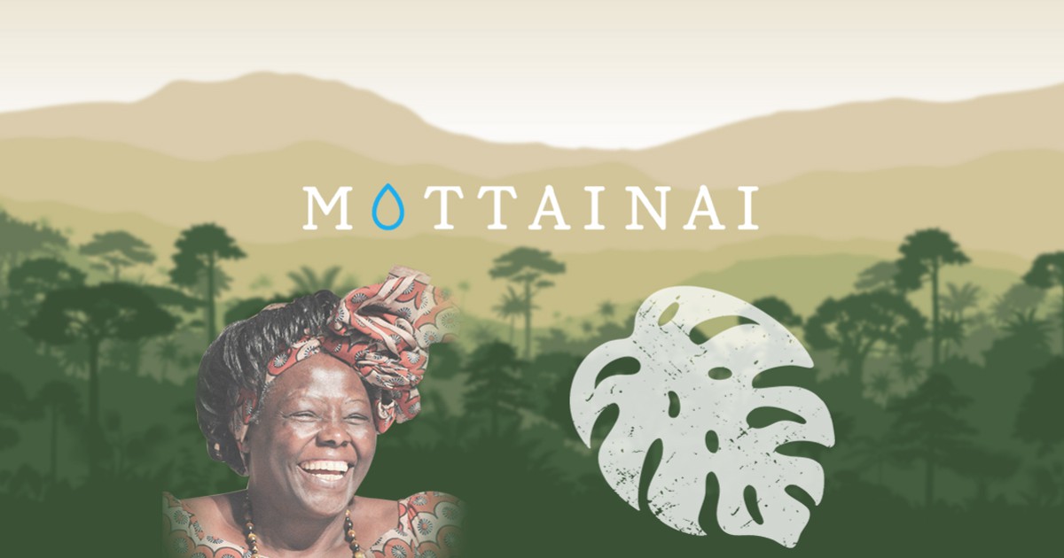 MOTTAINAI | 毎日新聞