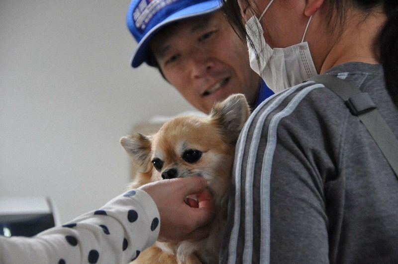 Vet team founder in Japan urges pet owners to thoroughly prepare for ...