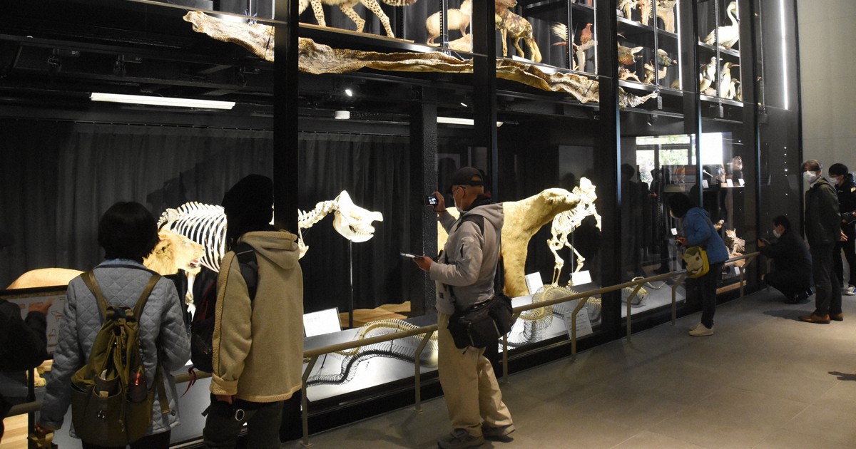 Osaka zoo opens new museum to display skeletal specimens, mounted ...