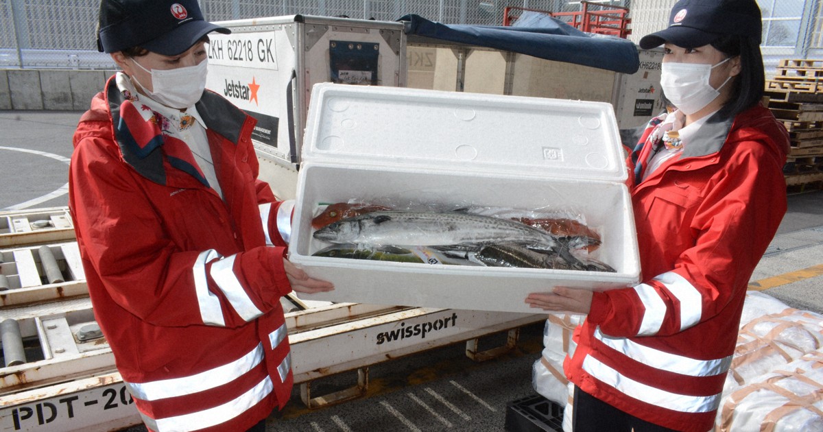 Japan's low-cost carriers make forays into cargo amid pandemic-led ...