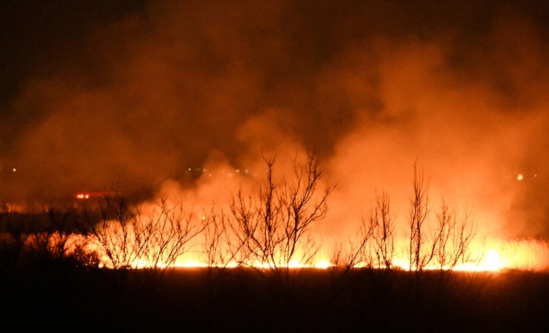 Fire in reed field in eastern Japan wetland extinguished - The Mainichi