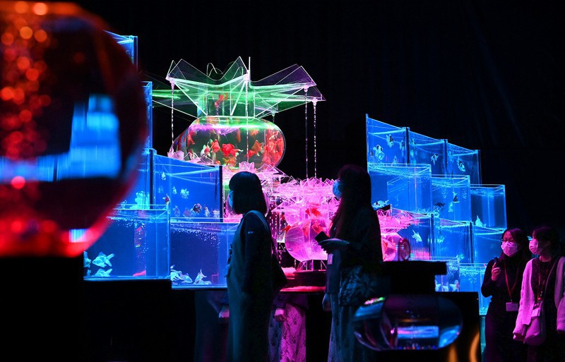 In Photos: Lustrously-lit goldfish at artistic aquarium exhibit in ...