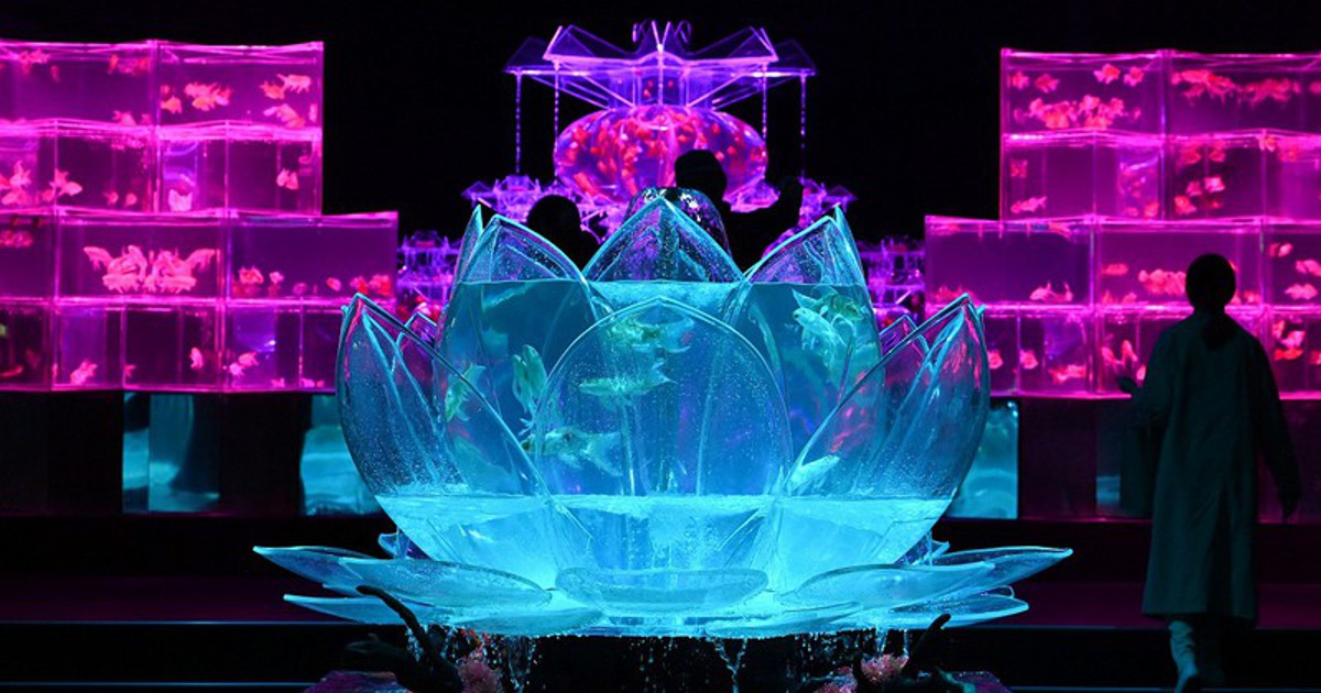 In Photos: Lustrously-lit goldfish at artistic aquarium exhibit in ...