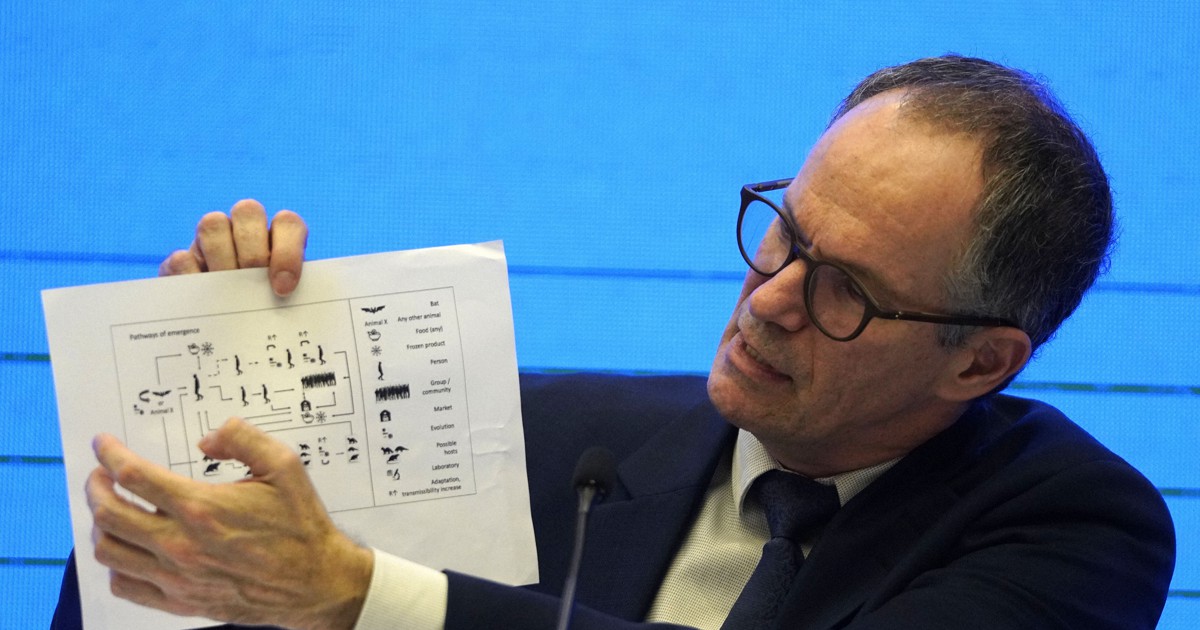 WHO report: COVID-19 likely 1st jumped into humans from animals - The ...