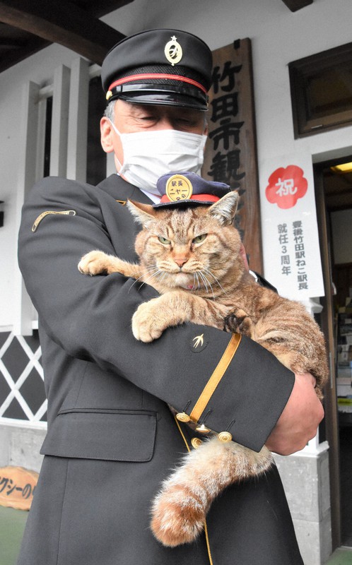 Japanese 'cat stationmaster' celebrates 3 years in office with locals ...
