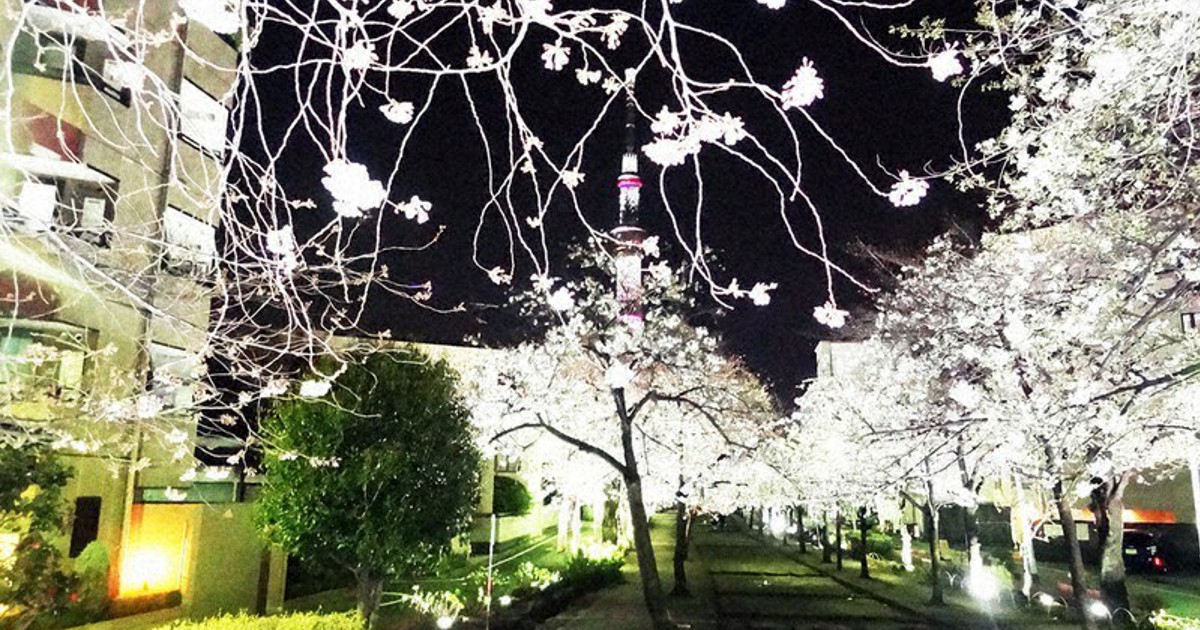 Cameras offer Tokyo day laborers chance for self-expression and ...