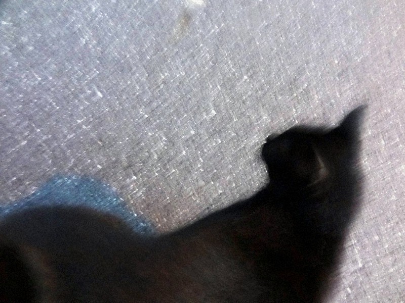 Cameras offer Tokyo day laborers chance for self-expression and ...