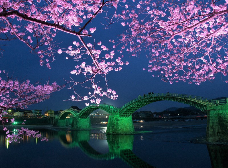 The 24th Mainichi Haiku Contest - The Mainichi