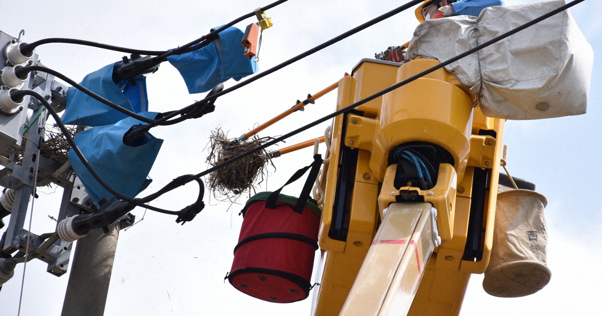 Crows' nests on utility poles in north Japan pref. ruffle power firm's ...