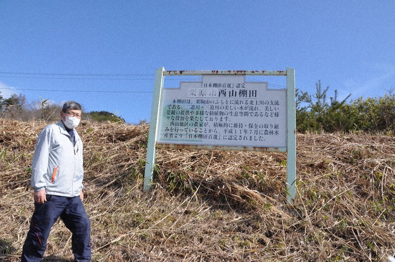 Once scenic 'tanada' rice terraces in Japan overgrown with weeds ...