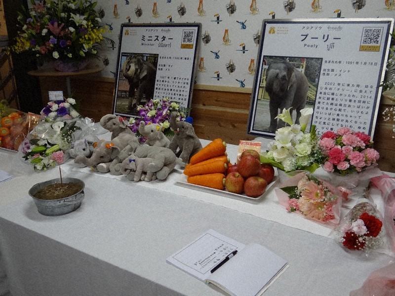 2 Asian elephants at east Japan zoo die on same day after 6 fall ill ...