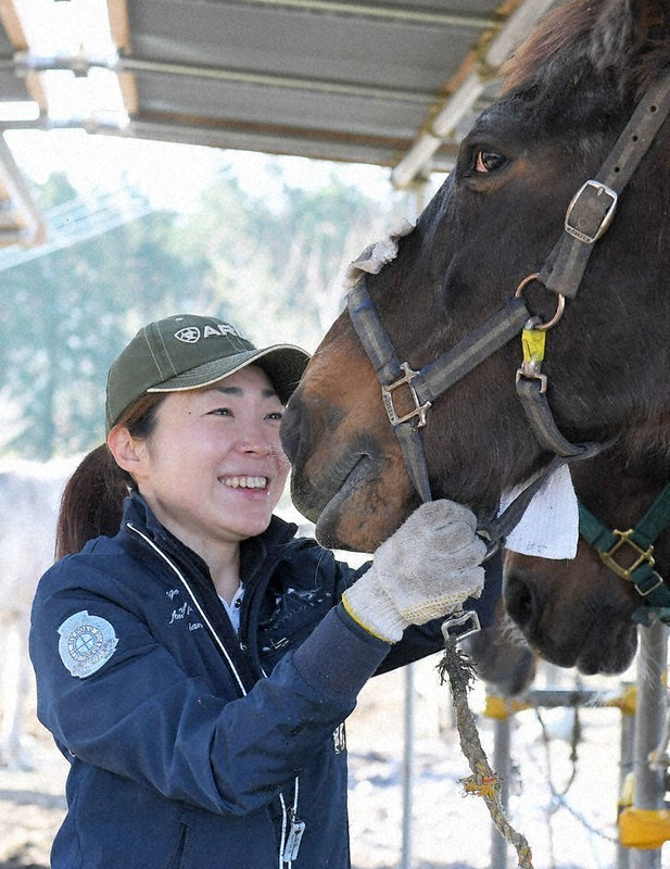 A visit to the southwest Japan ranch where retired racehorses see out ...