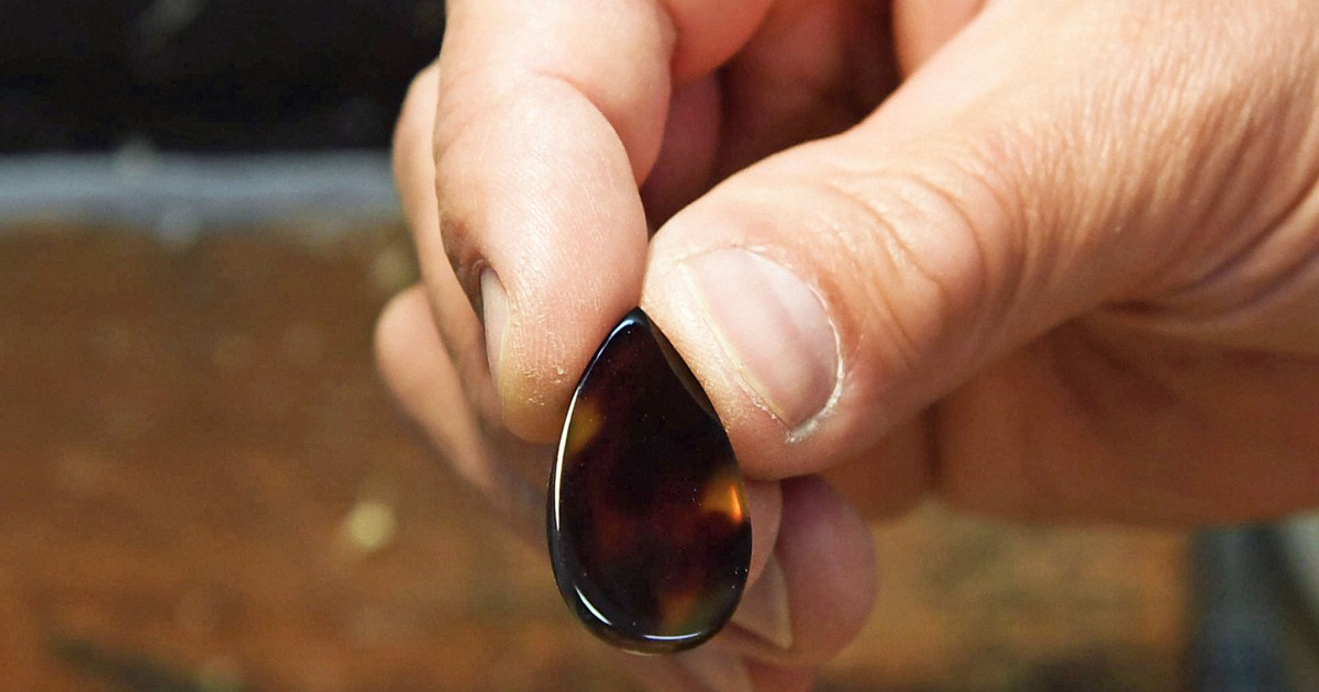 In Photos: Precious Japanese turtle shell crafts something to treasure ...