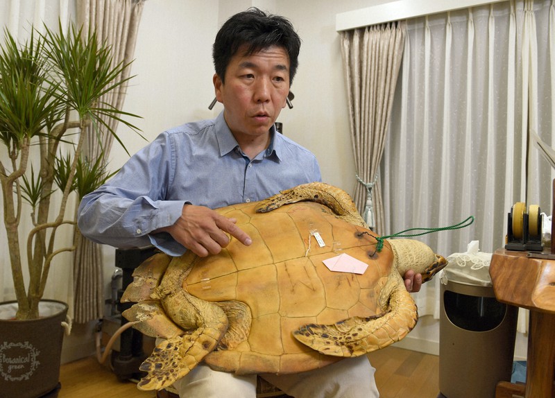 In Photos: Precious Japanese turtle shell crafts something to treasure ...