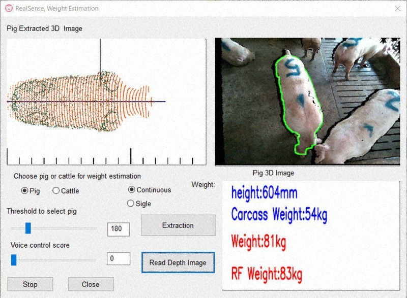 Southwest Japan univ. develops smart glasses to visually estimate pigs ...
