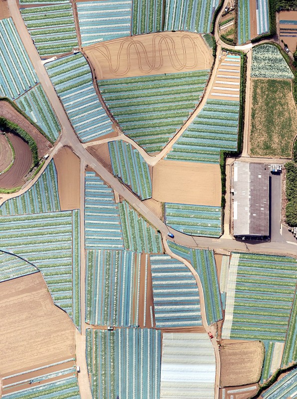 In Photos: Fields of vegetables create patchwork-like pattern in east ...