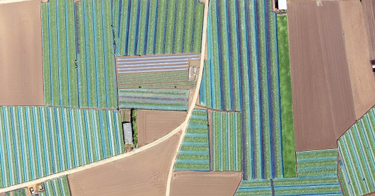 In Photos: Fields of vegetables create patchwork-like pattern in east ...