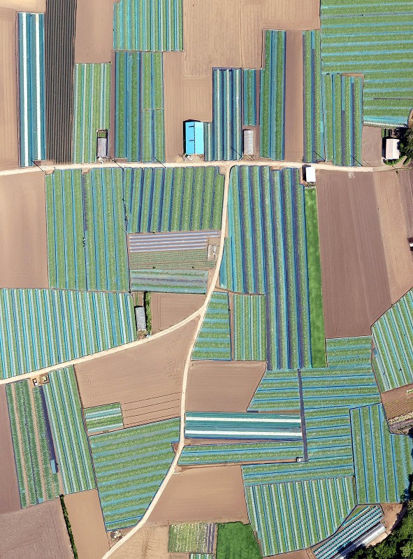 In Photos: Fields of vegetables create patchwork-like pattern in east ...