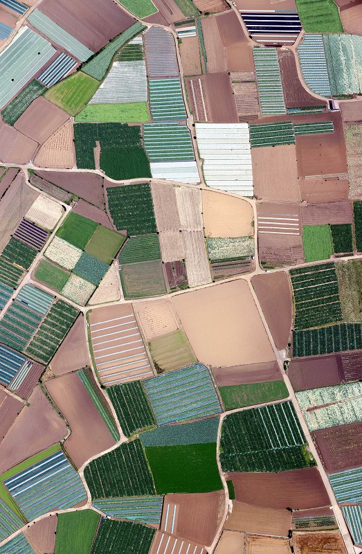 In Photos: Fields of vegetables create patchwork-like pattern in east ...