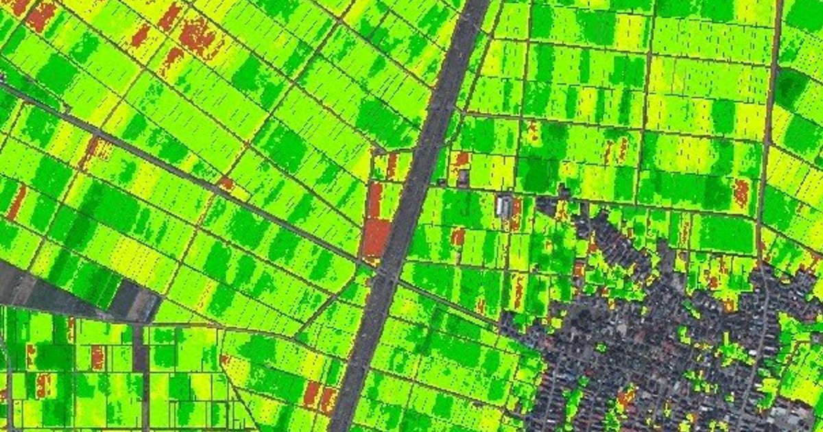 Satellite-monitored rice plant cultivation tests begin in north Japan ...