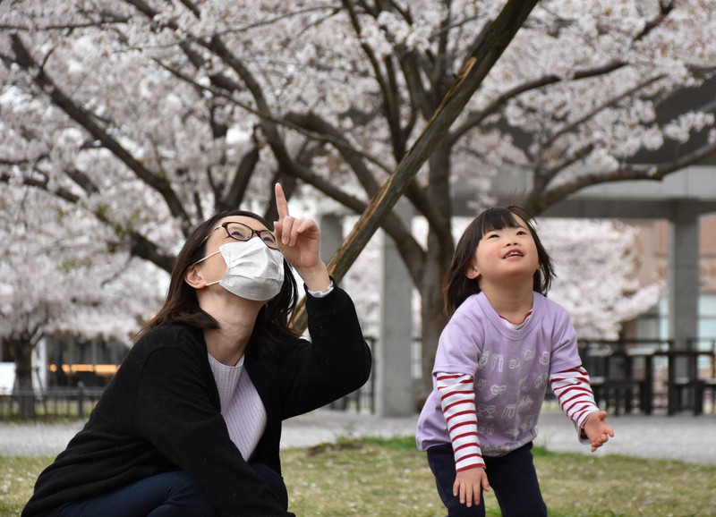 Increasing prenatal tests in Japan fuel abortion concerns among Down ...