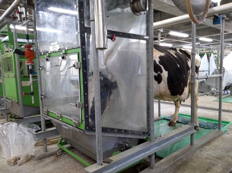 Toxic emissions: Hokkaido univ. professor on challenges in reducing cow ...