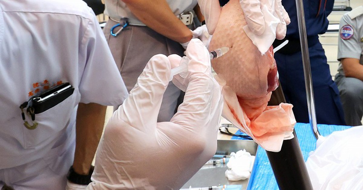 In Photos: Paramedics in east Japan city undergo training to give COVID ...