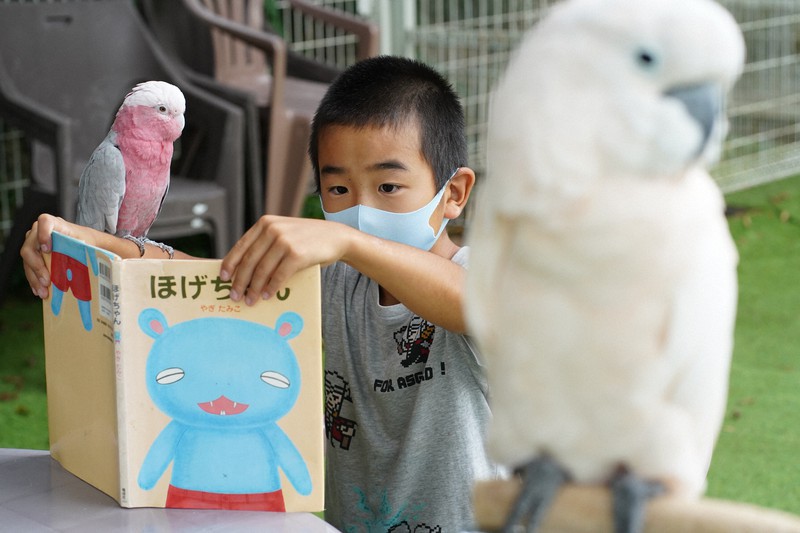 In Photos: Therapy dogs, birds 'listen' to kids reading picture books ...