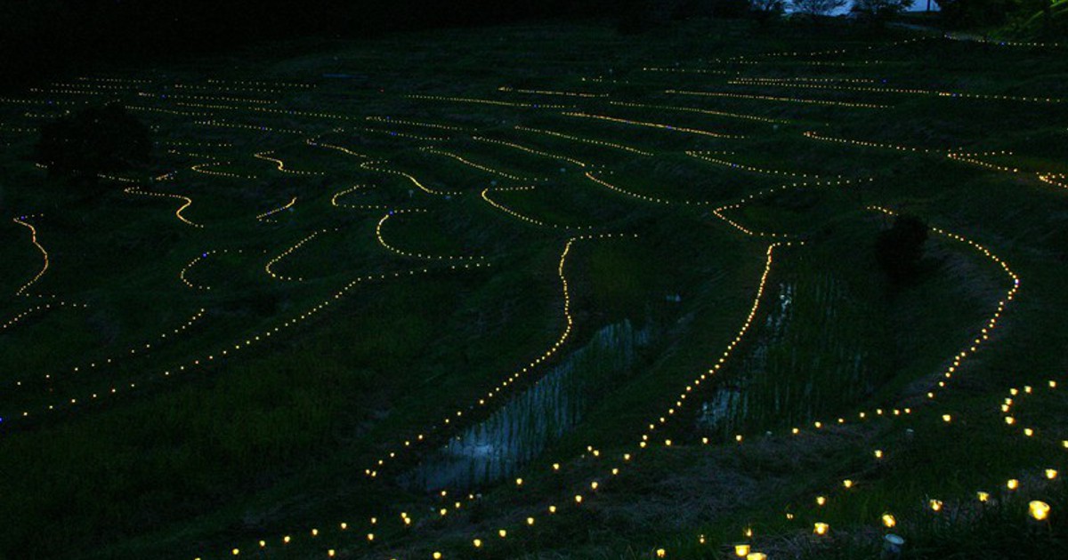 In Photos: One of Japan's 'top 100 rice terraces' lit up in east Japan ...