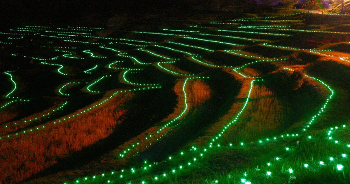 In Photos: One of Japan's 'top 100 rice terraces' lit up in east Japan ...