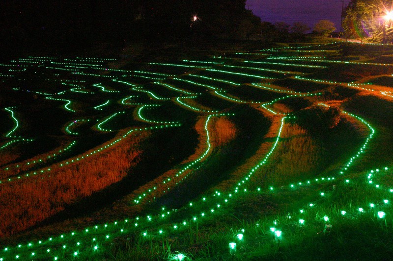 In Photos: One of Japan's 'top 100 rice terraces' lit up in east Japan ...