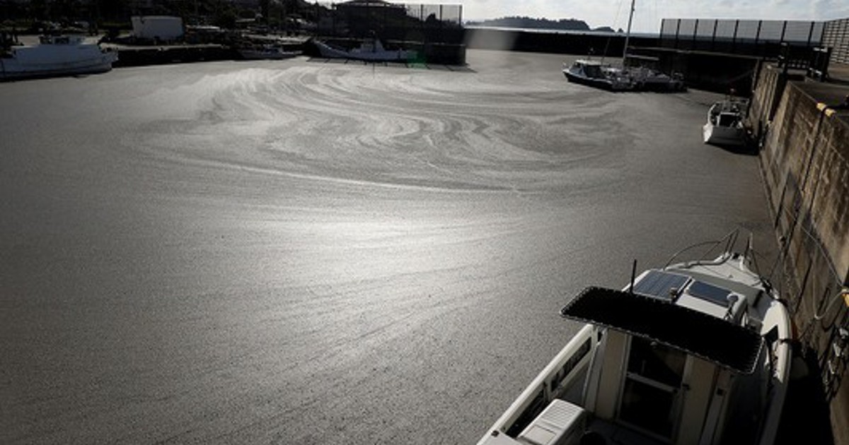 In Photos: Pumice stones cover Okinawa Pref. sea, beach after volcanic ...
