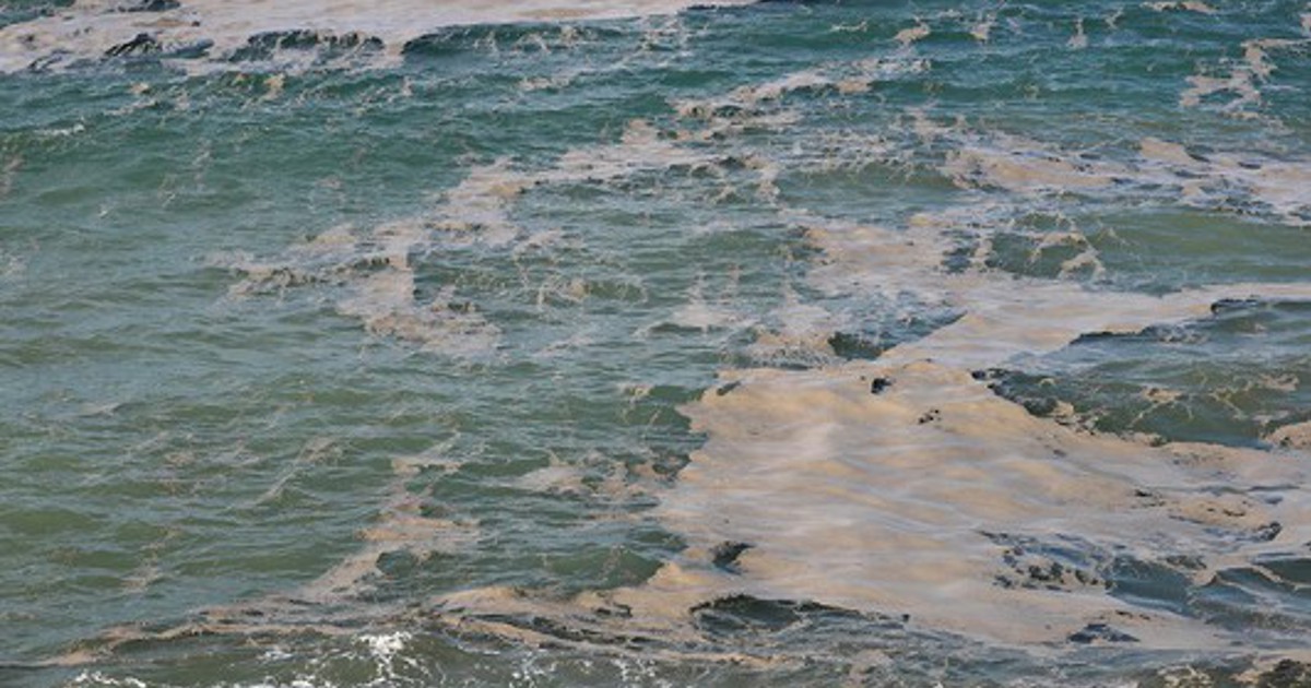 In Photos: Pumice stones cover Okinawa Pref. sea, beach after volcanic ...