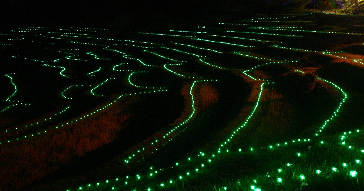 Rice terrace in east Japan city steps up nighttime appeal with LED ...